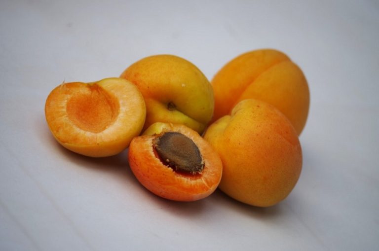 Apricots: A nutrient-packed powerhouse for your health | Fusion – WeRIndia